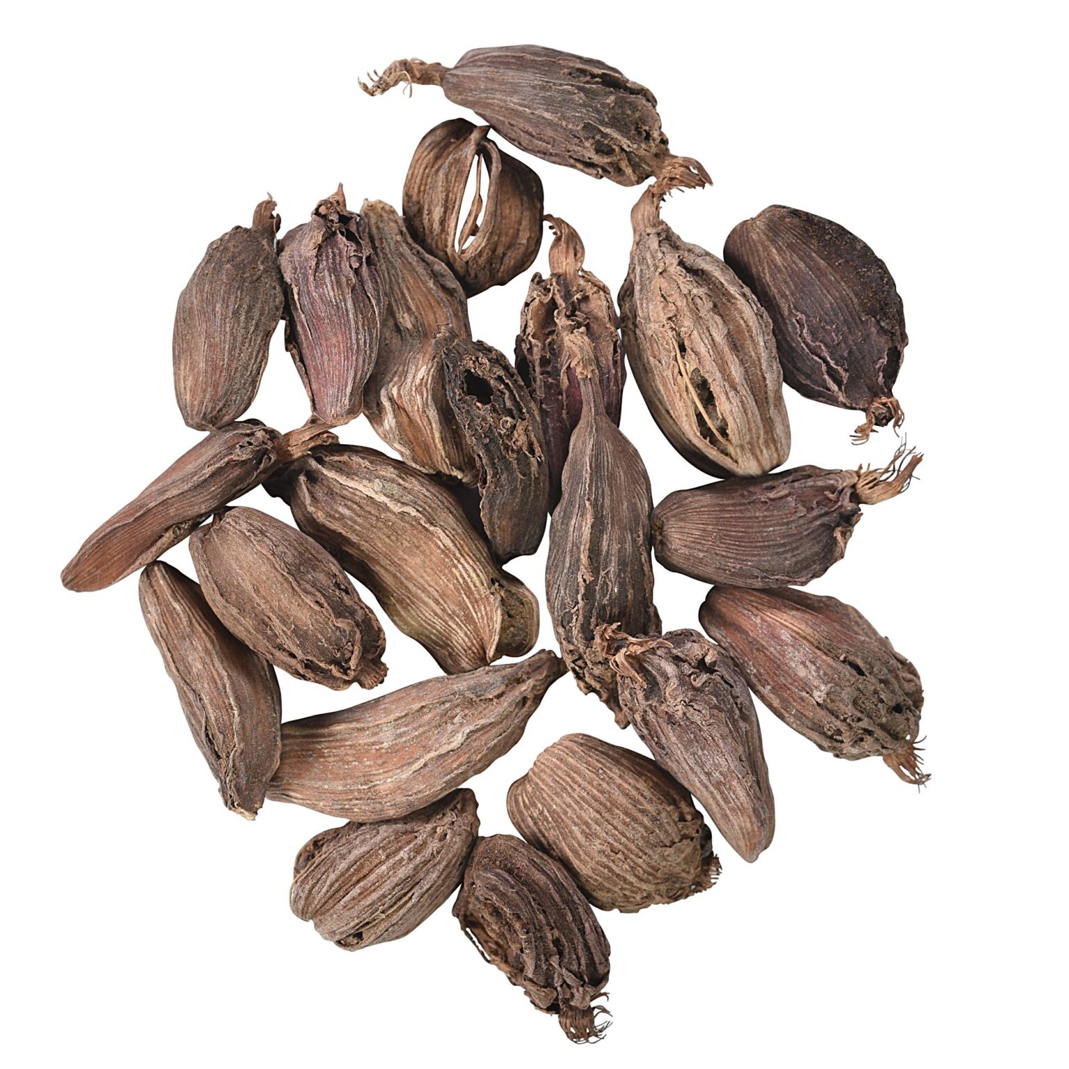 CARDAMOM GREEN PODS – Spices and Tease